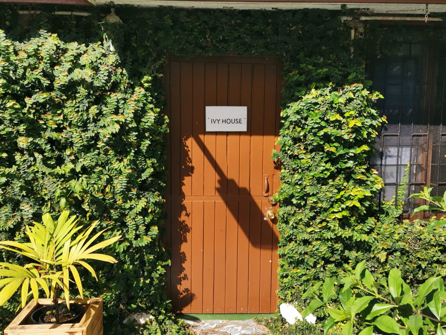 Levuka Accommodations | Fiji Guide Most Trusted Source On Fiji